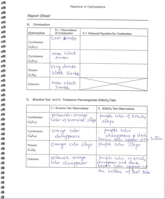 Solved Report Sheet Name Date Section Instructor Team | Chegg.com