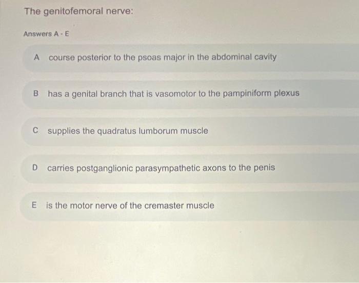 Solved The genitofemoral nerve: Answers A E A course | Chegg.com