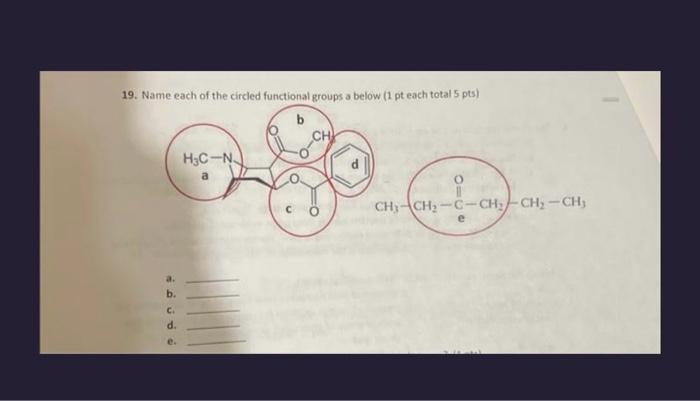Solved 19. Name each of the circled functional groups a | Chegg.com