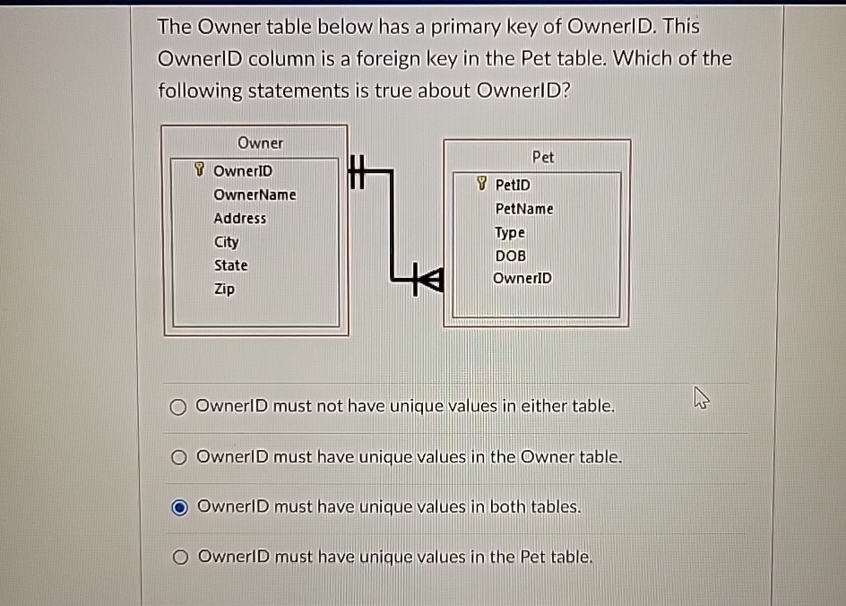 Solved The Owner table below has a primary key of OwnerID. | Chegg.com