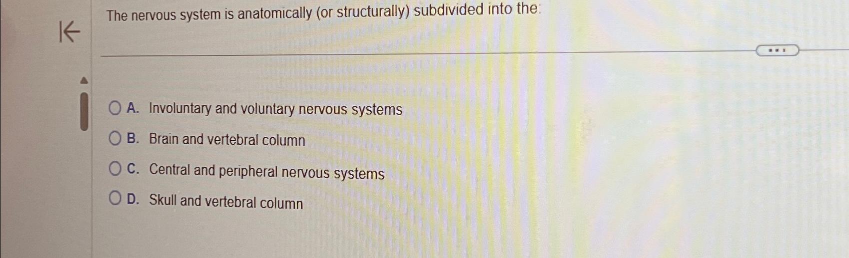 Solved The nervous system is anatomically (or structurally) | Chegg.com