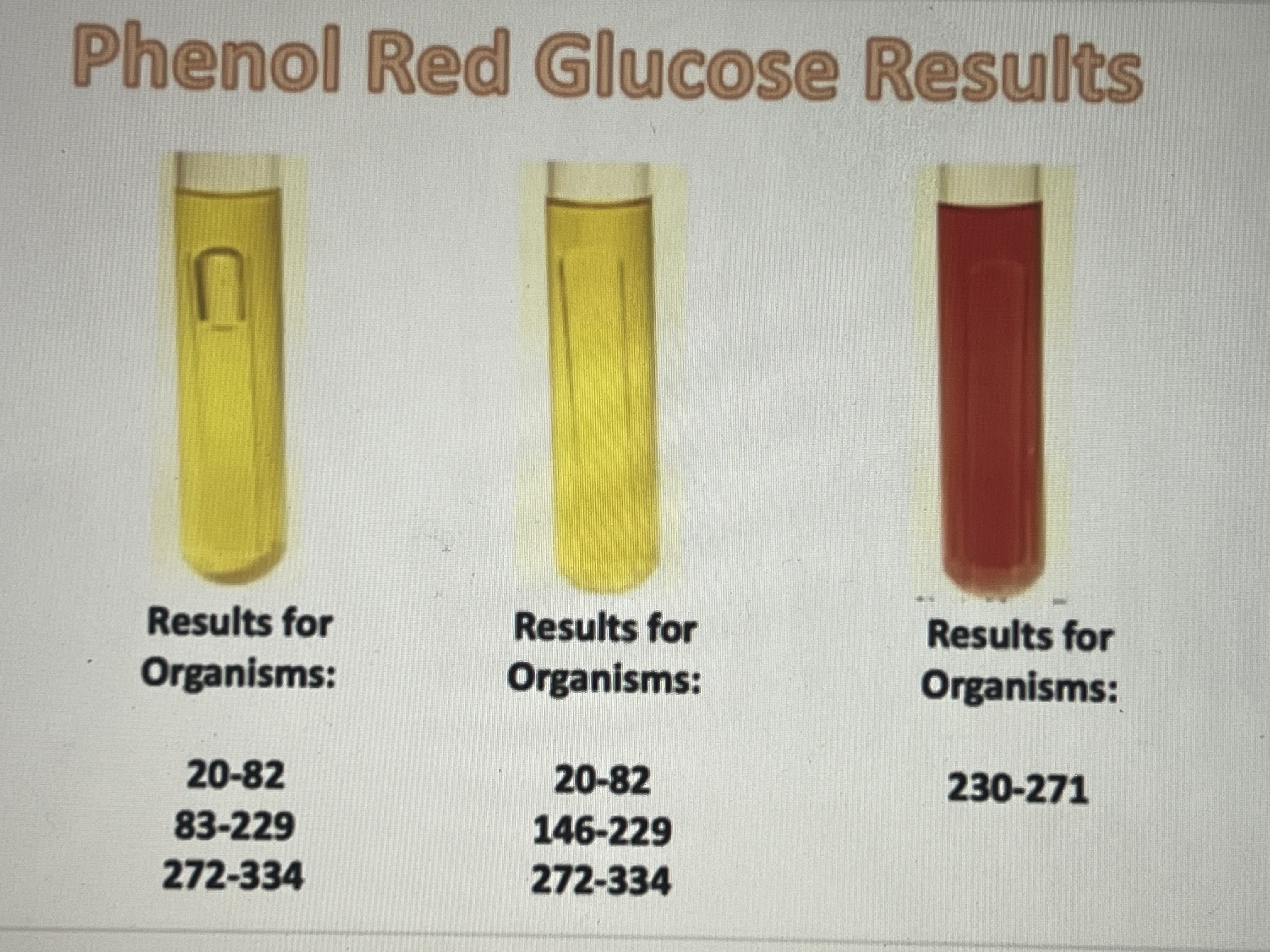 Solved Phenol Red Glucose Resultsmi unknown number is 168 | Chegg.com