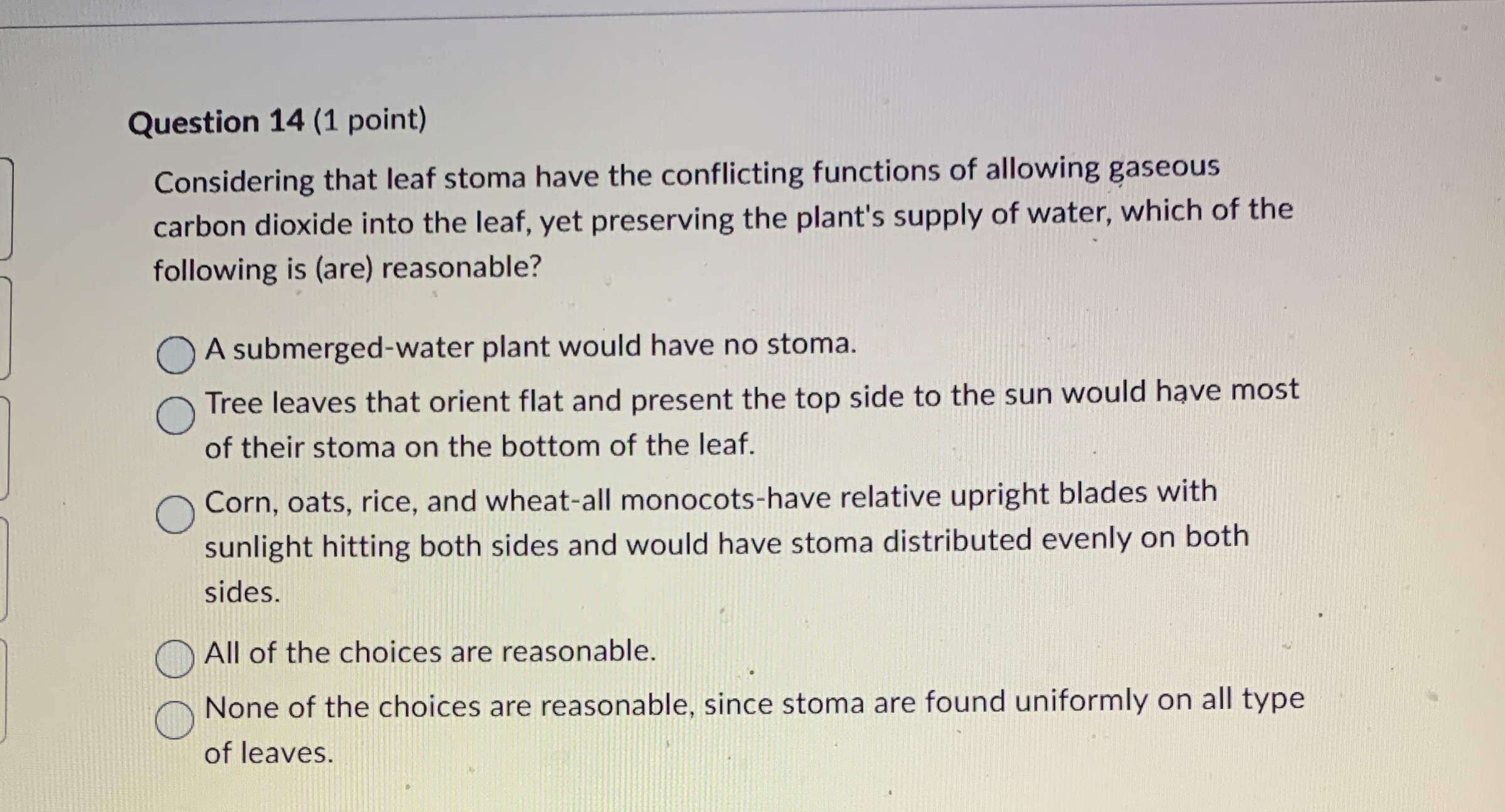 Solved Question 14 (1 ﻿point)Considering that leaf stoma | Chegg.com