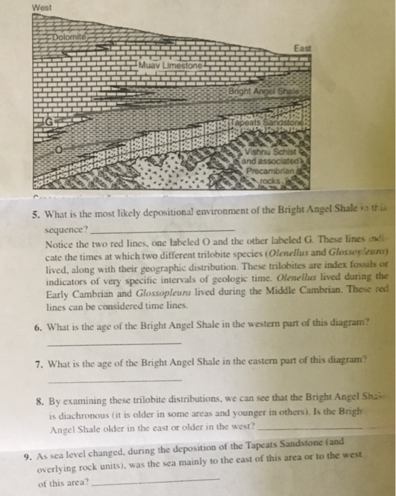 Solved Bright Angel She TRO Tapeats Sand Vishnu Schist and | Chegg.com