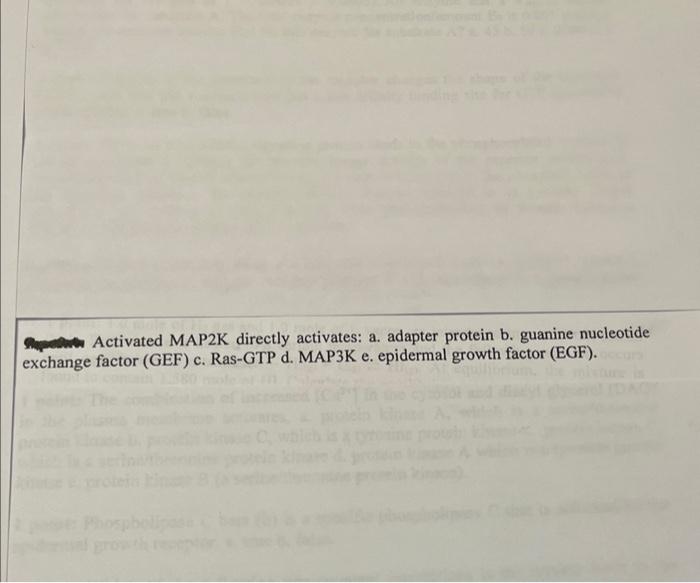 Solved Activated MAP2K directly activates: a. adapter | Chegg.com