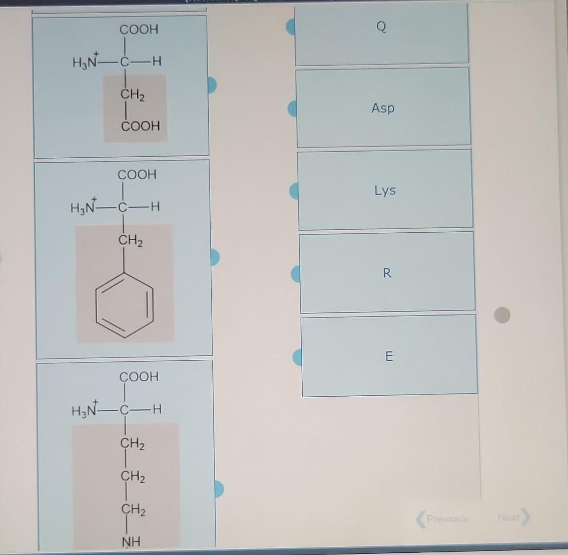 Solved match the correct amino acid for each of the | Chegg.com