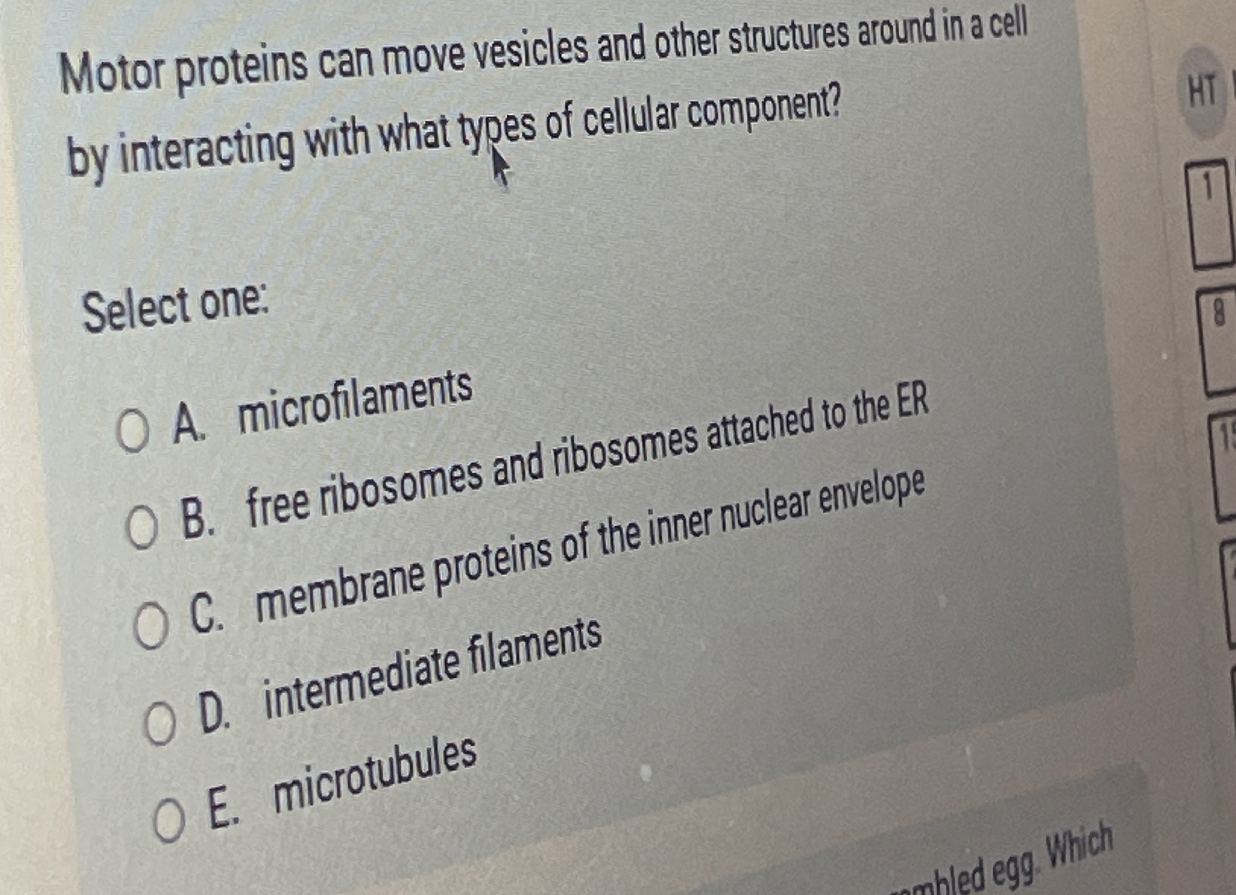 Solved Motor proteins can move vesicles and other structures | Chegg.com