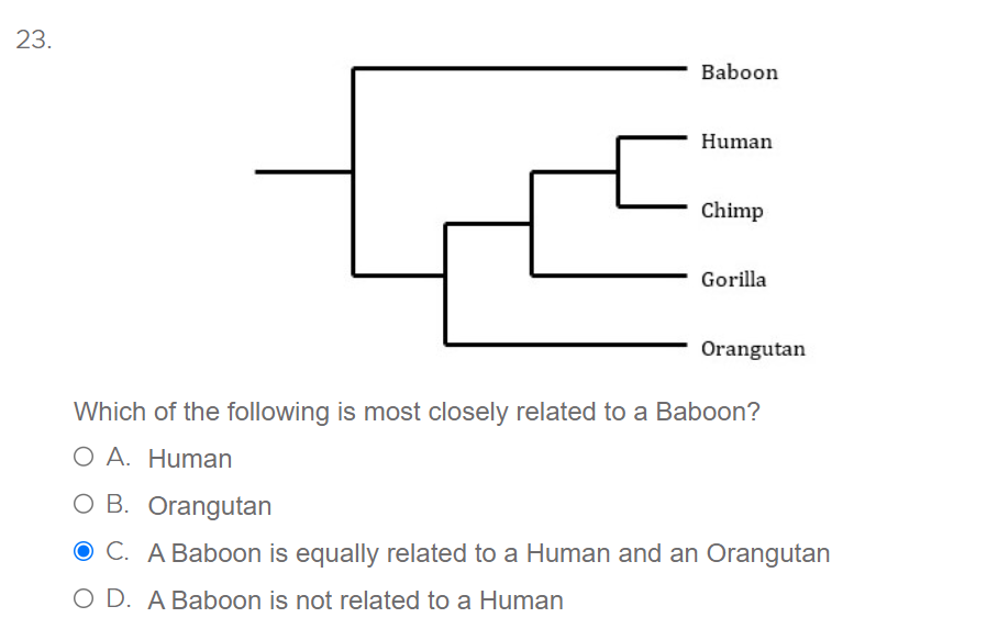 Solved Which of the following is most closely related to a | Chegg.com