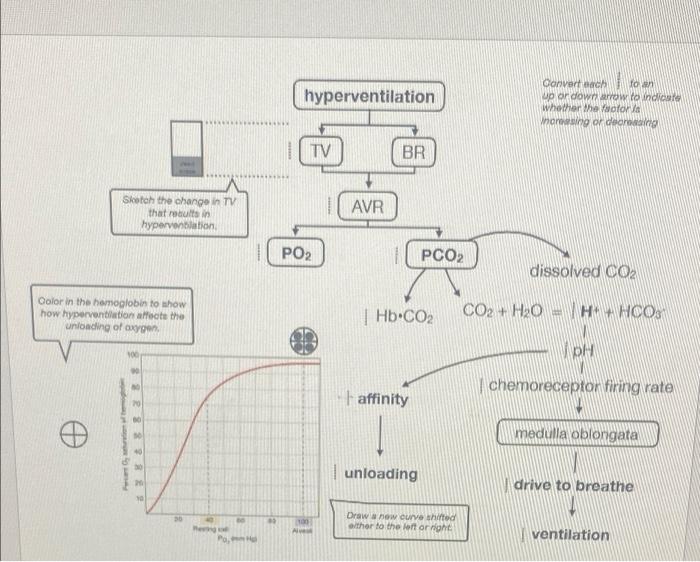 Solved compliance hypoventilation Convert cach to an up or | Chegg.com