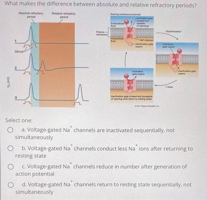 Solved What makes the difference between absolute and | Chegg.com