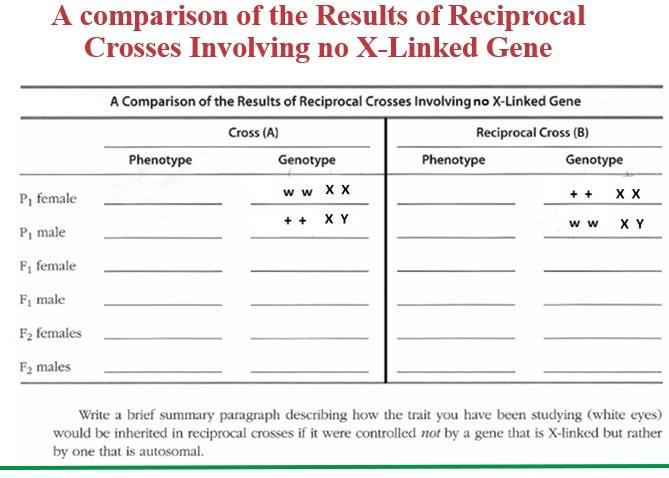 Solved A. Cross A comparison of the Results of Reciprocal | Chegg.com