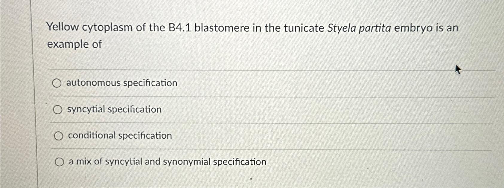 Solved Yellow cytoplasm of the B4.1 ﻿blastomere in the | Chegg.com