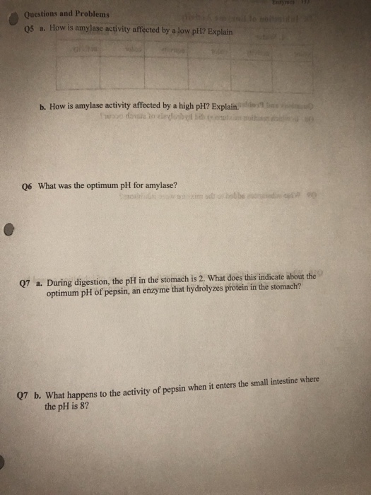 Solved Questions and Problems 05 a. How is amylase activity | Chegg.com