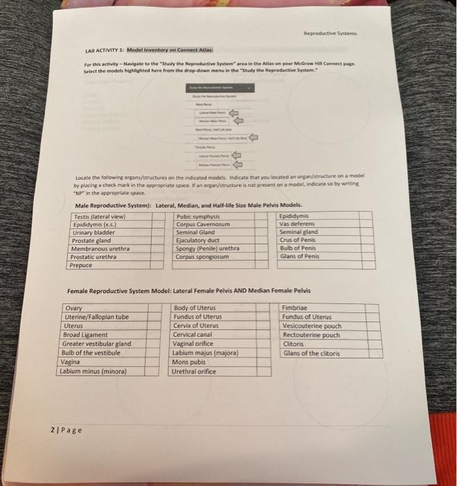 LAB ACTIVITY 1: Model Inventory on Connect Atlas: | Chegg.com
