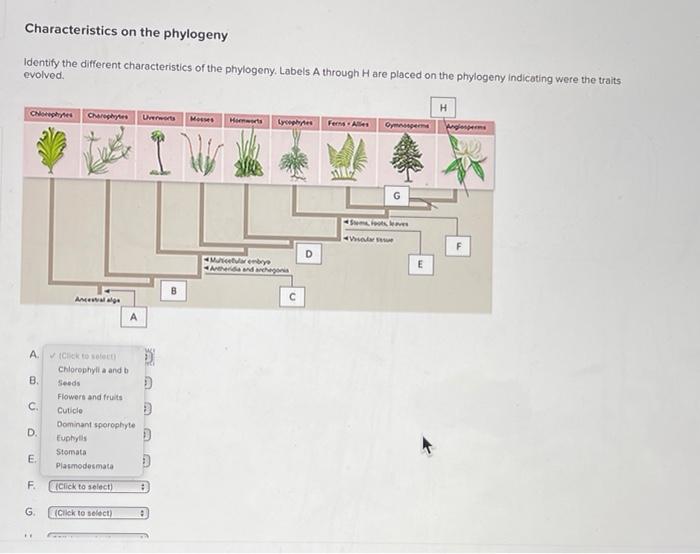 Solved Identify the different characteristics of the | Chegg.com