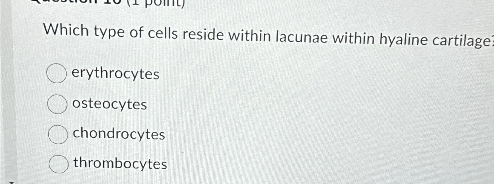 Solved Which type of cells reside within lacunae within | Chegg.com