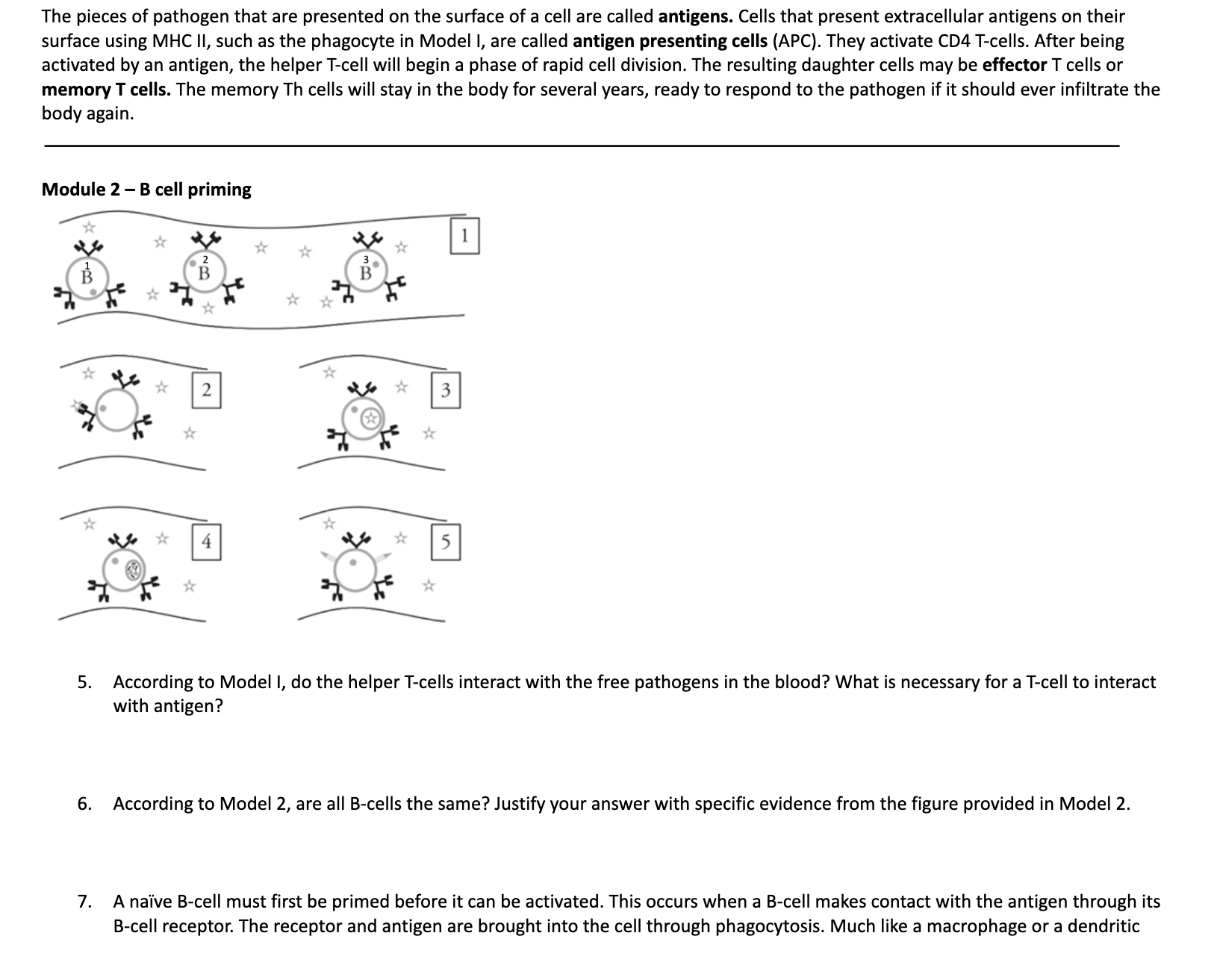 Solved The pieces of pathogen that are presented on the | Chegg.com