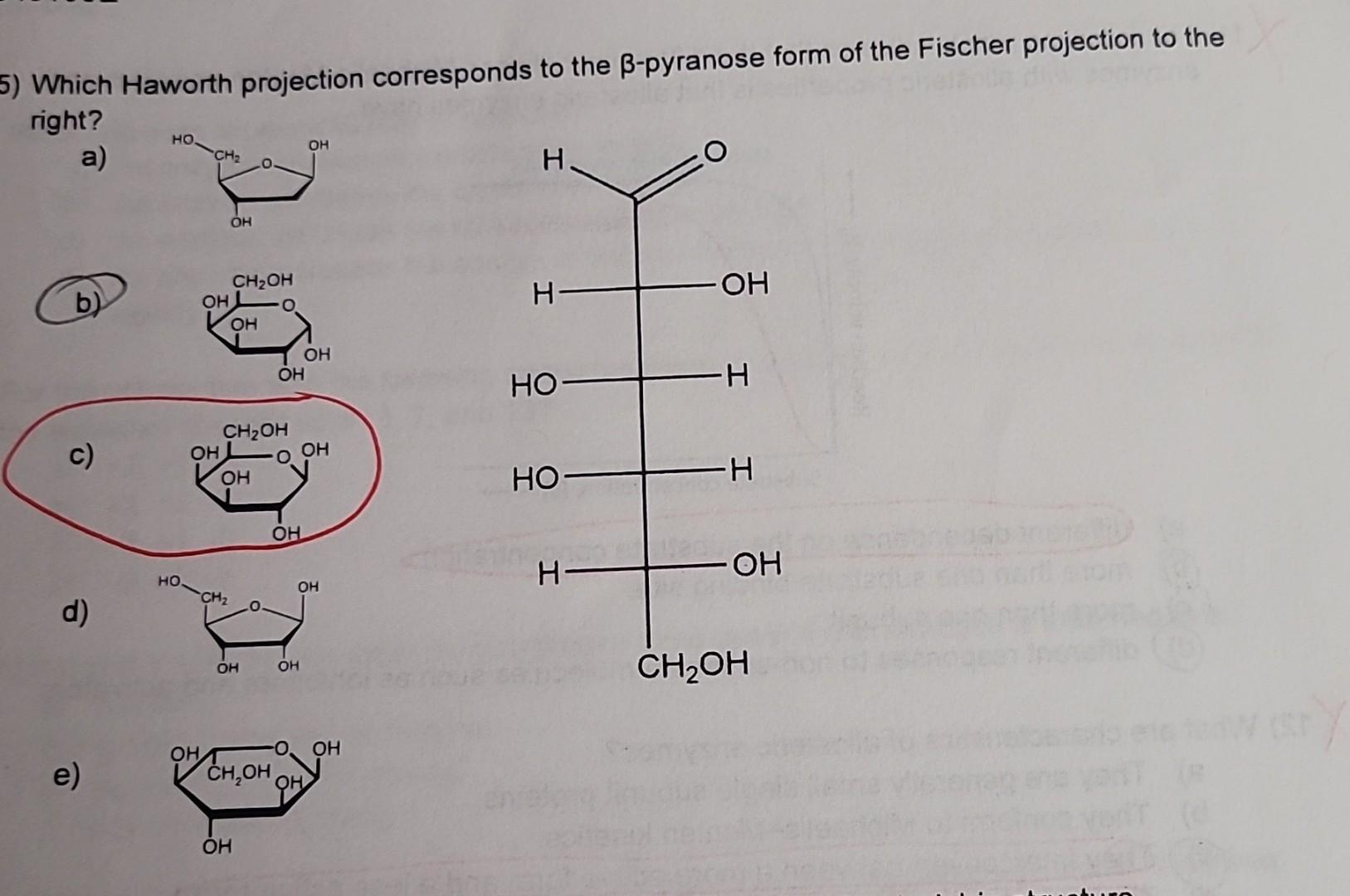 Solved 5) Which Haworth projection corresponds to the | Chegg.com