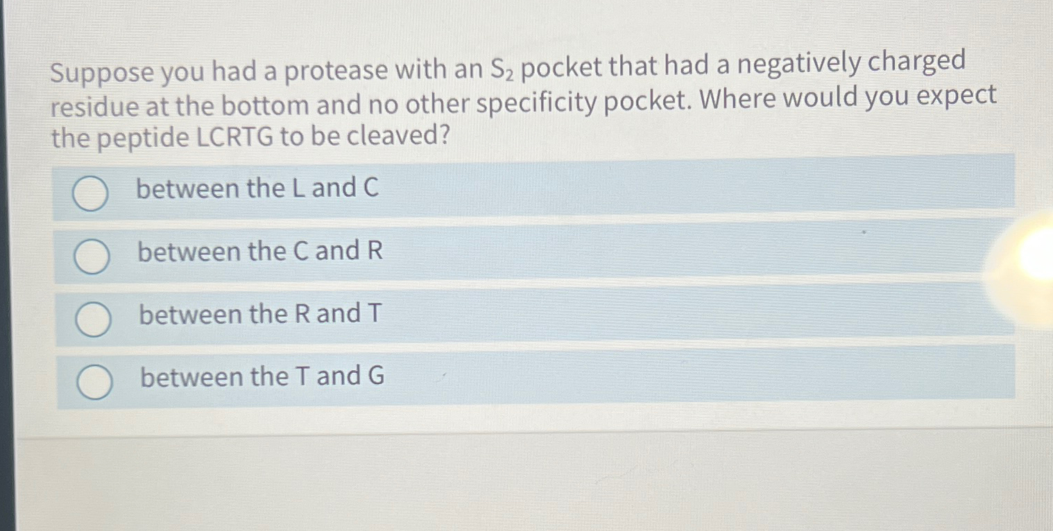 Solved Suppose you had a protease with an S2 ﻿pocket that | Chegg.com