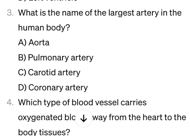 Solved What is the name of the largest artery in the human | Chegg.com