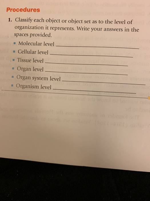 Solved Procedures 1. Classify each object or object set as | Chegg.com