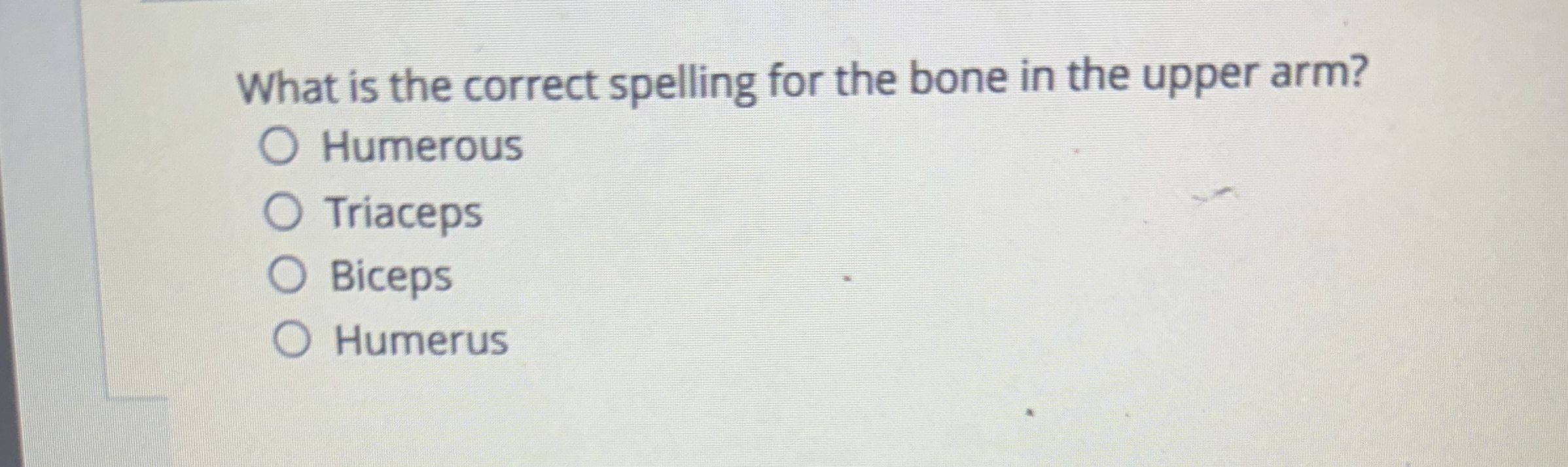 Solved What is the correct spelling for the bone in the | Chegg.com
