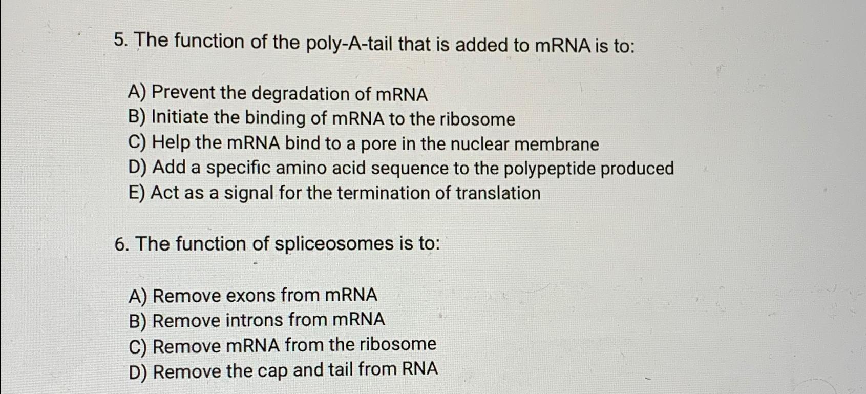 Solved 1. ﻿The function of the poly-A-tail that is added to | Chegg.com