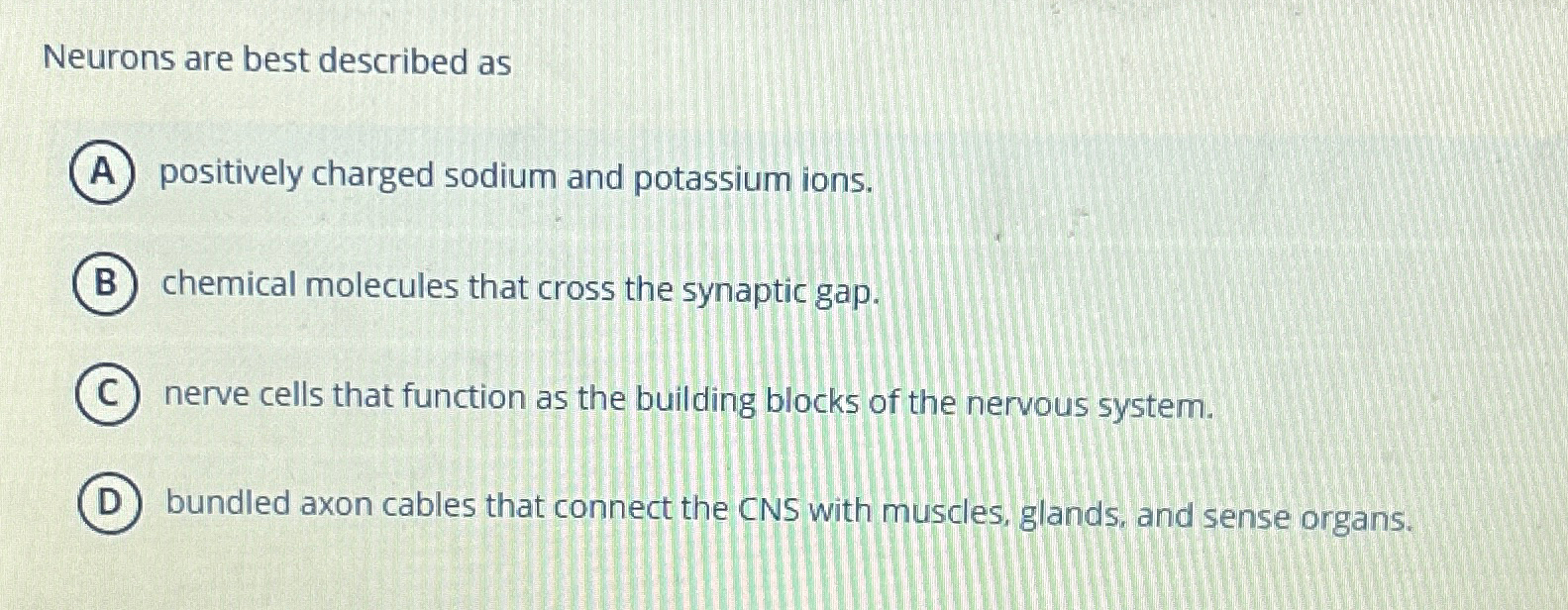 Solved Neurons are best described aspositively charged | Chegg.com