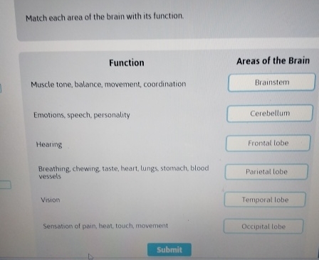 Solved Match each area of the brain with its | Chegg.com