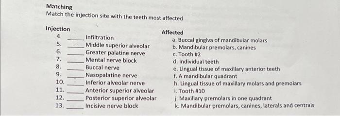 Solved Matching Match the injection site with the teeth most | Chegg.com