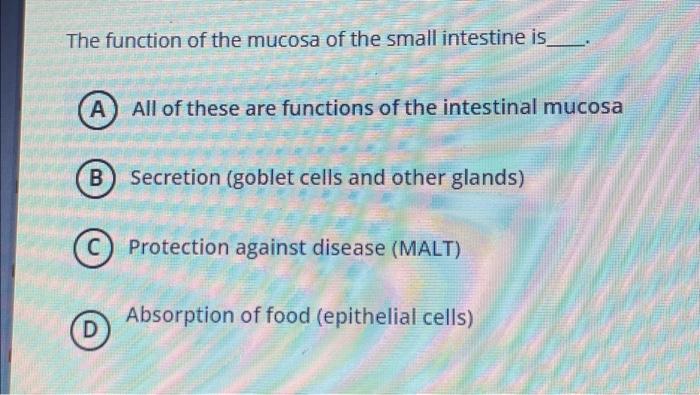 The function of the mucosa of the small intestine is | Chegg.com