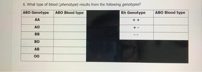 Solved ABO Blood type 6. What type of blood (phenotype) | Chegg.com