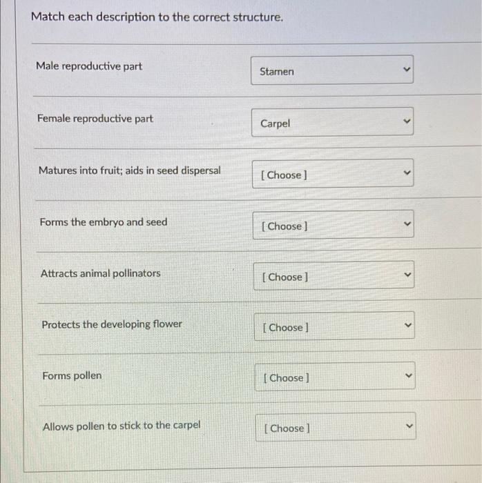 Solved Match each description to the correct structure. Male | Chegg.com
