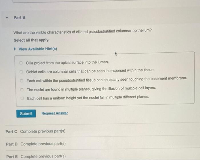 Solved Part B What are the visible characteristics of | Chegg.com