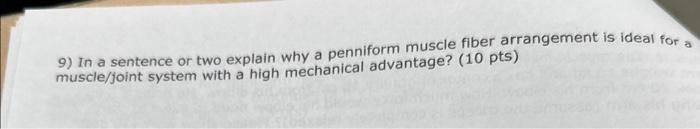 Solved 9) In a sentence or two explain why a penniform | Chegg.com