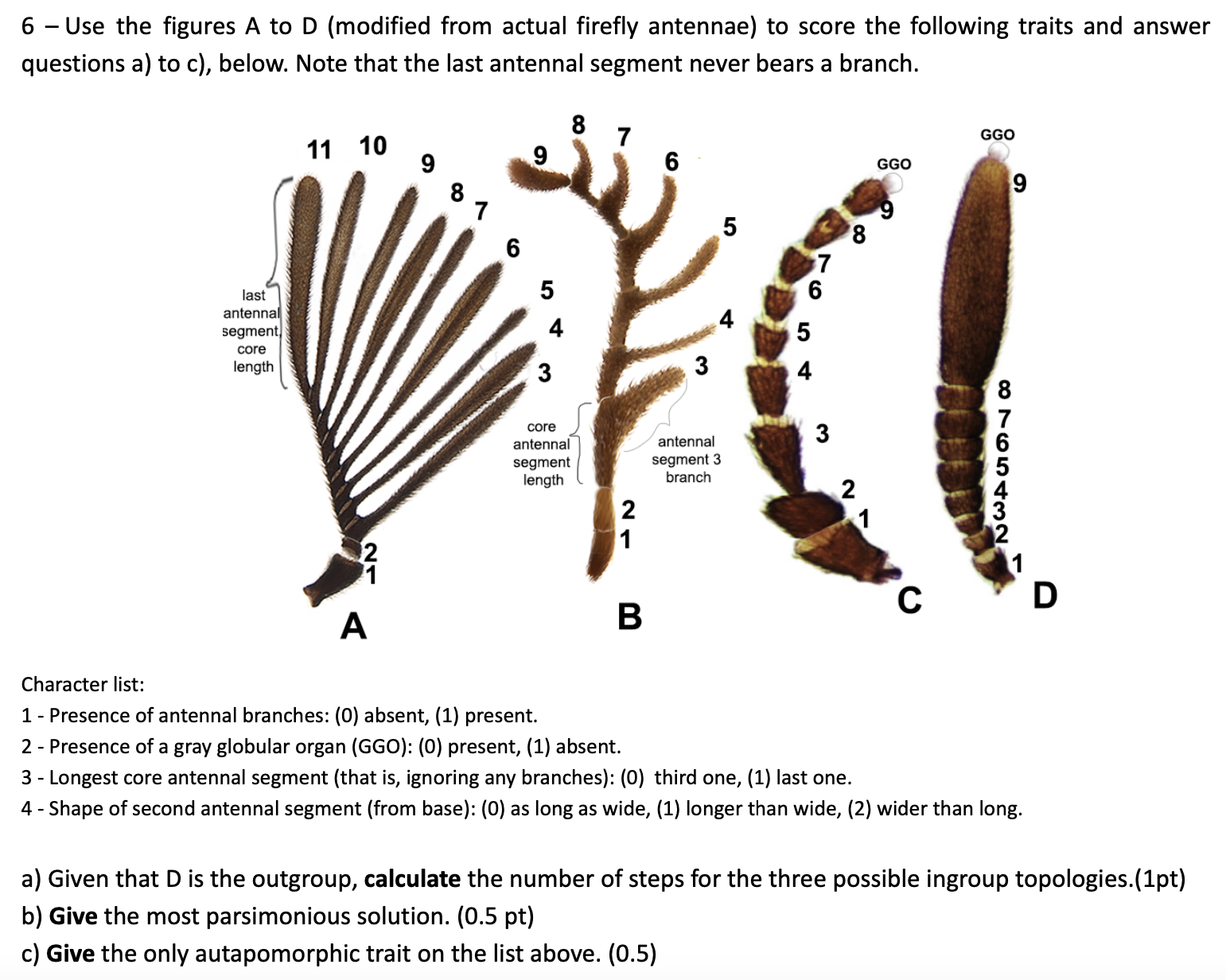 Solved 6 - ﻿Use the figures A to D (modified from actual | Chegg.com