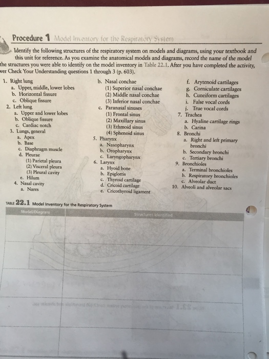 Procedure 1 Model Inventory for the Respiratory | Chegg.com