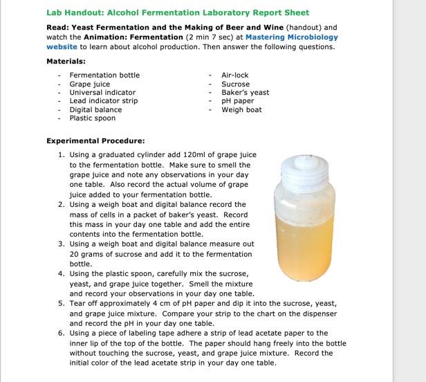 Lab Handout: Alcohol Fermentation Laboratory Report | Chegg.com