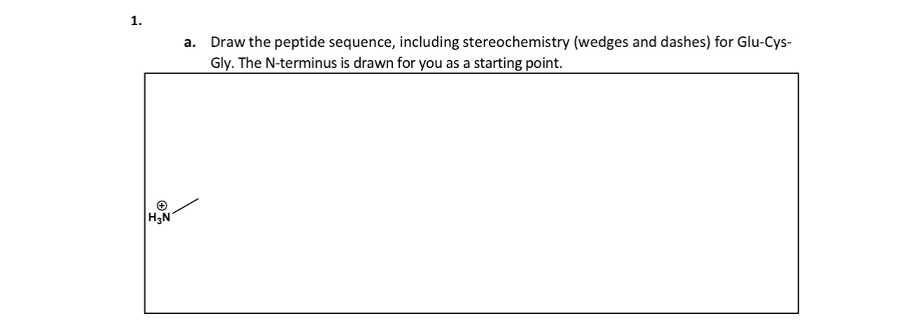 Solved a. ﻿Draw the peptide sequence, including | Chegg.com