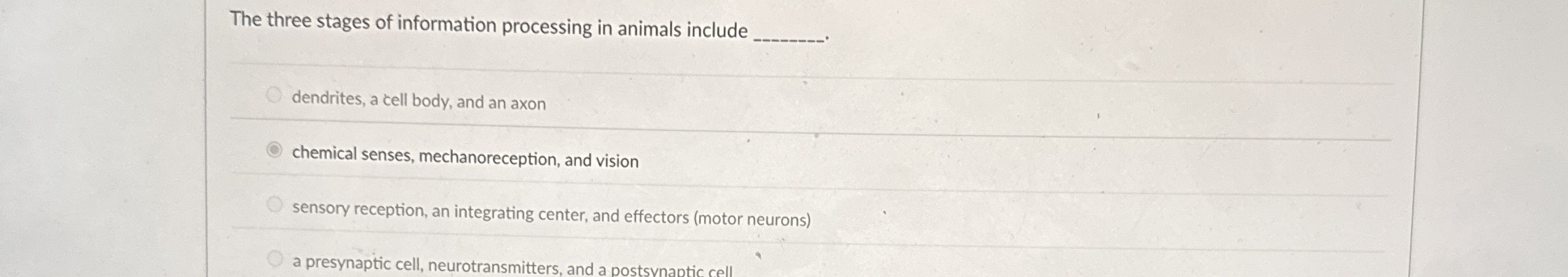 Solved The three stages of information processing in animals | Chegg.com