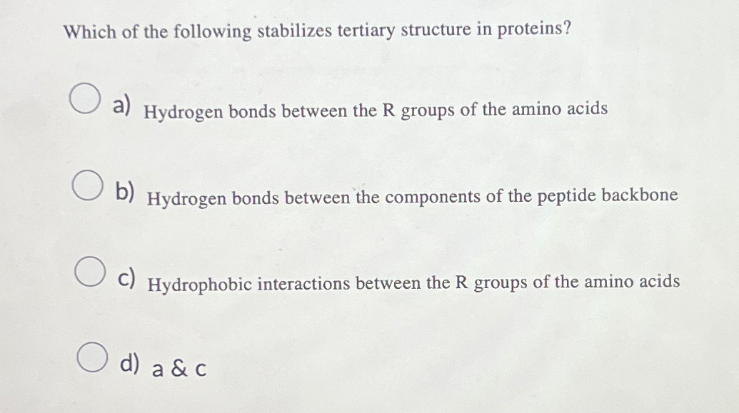 Solved Which of the following stabilizes tertiary structure | Chegg.com