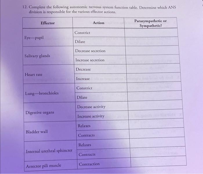 Solved 12. Complete the following autonomic nervous system | Chegg.com
