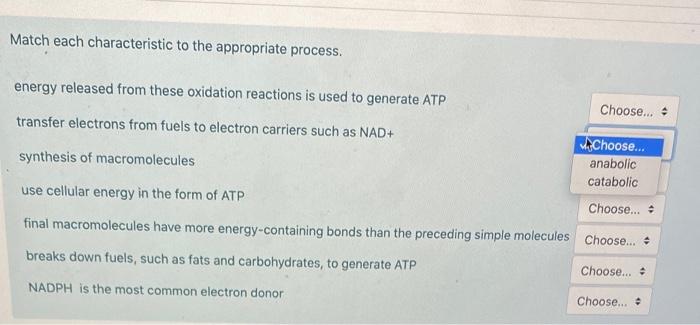 Solved Match each characteristic to the appropriate process. | Chegg.com