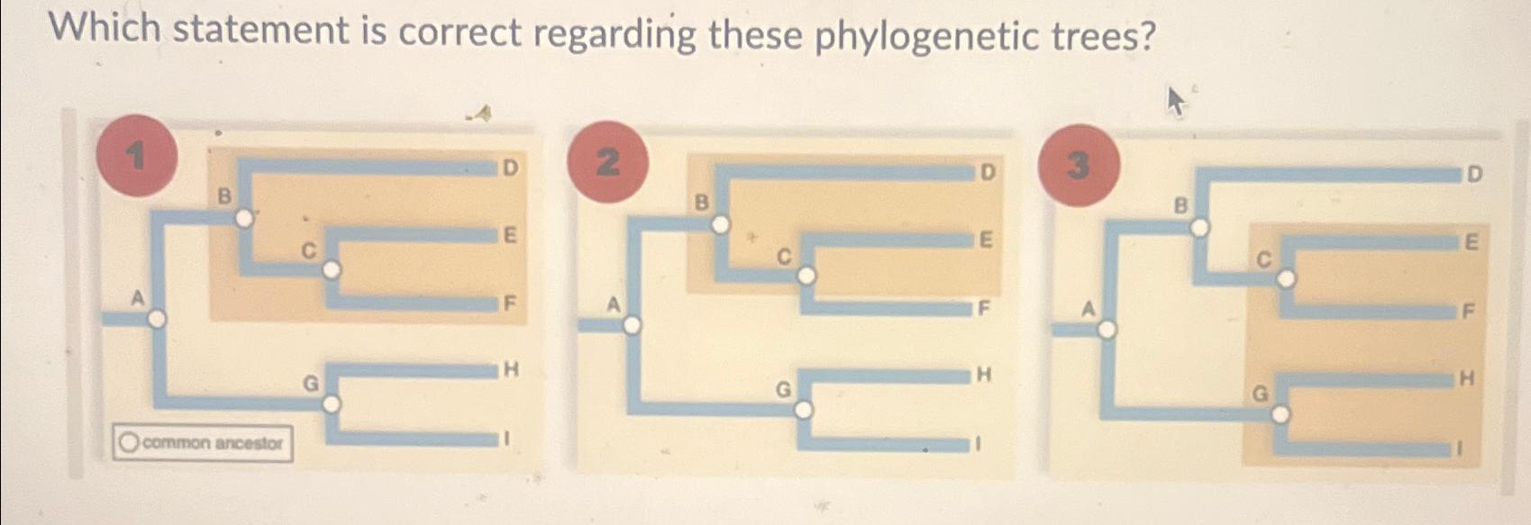 Solved Which statement is correct regarding these | Chegg.com
