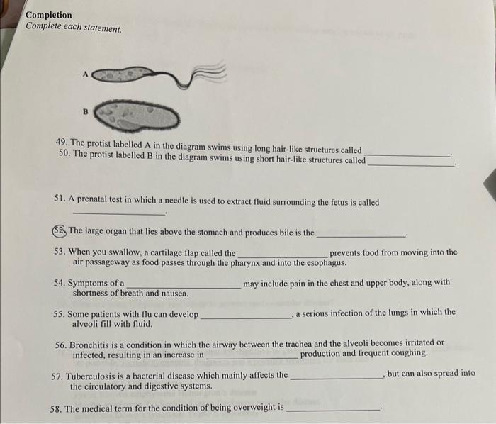 Solved Completion Complete each statement. 49. The protist | Chegg.com