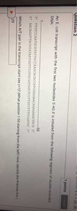 Solved Question 2 1 points An E. coli transcript with the | Chegg.com