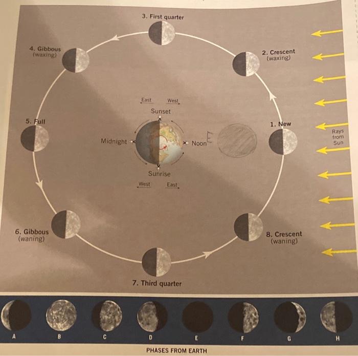 Solved For each of the eight numbered positions of the Moon, | Chegg.com