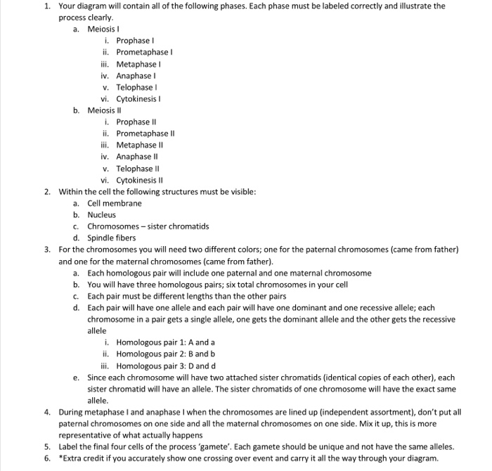 Solved 1. Your diagram will contain all of the following | Chegg.com