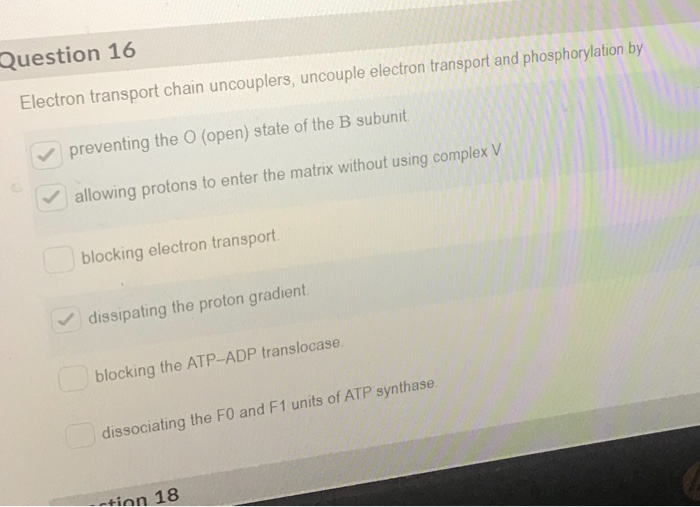 Solved cytochrome c contains FAD. 1.333333333/2 points | Chegg.com