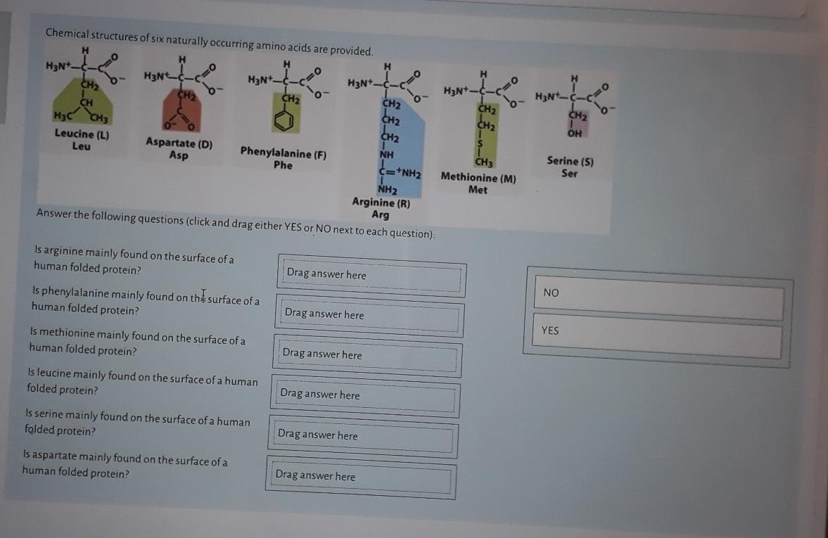 Solved H ve H3N+ H3N H3N- CH2 Chemical structures of six | Chegg.com